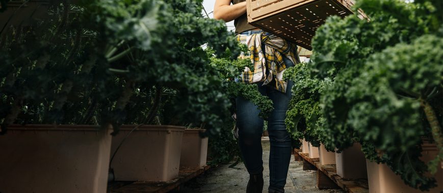 The role of stewardship in ESG and beyond | Accenture Capital Markets Blog